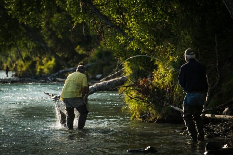 Kenai Peninsula Borough | Kenai Peninsula Economic Development District ...